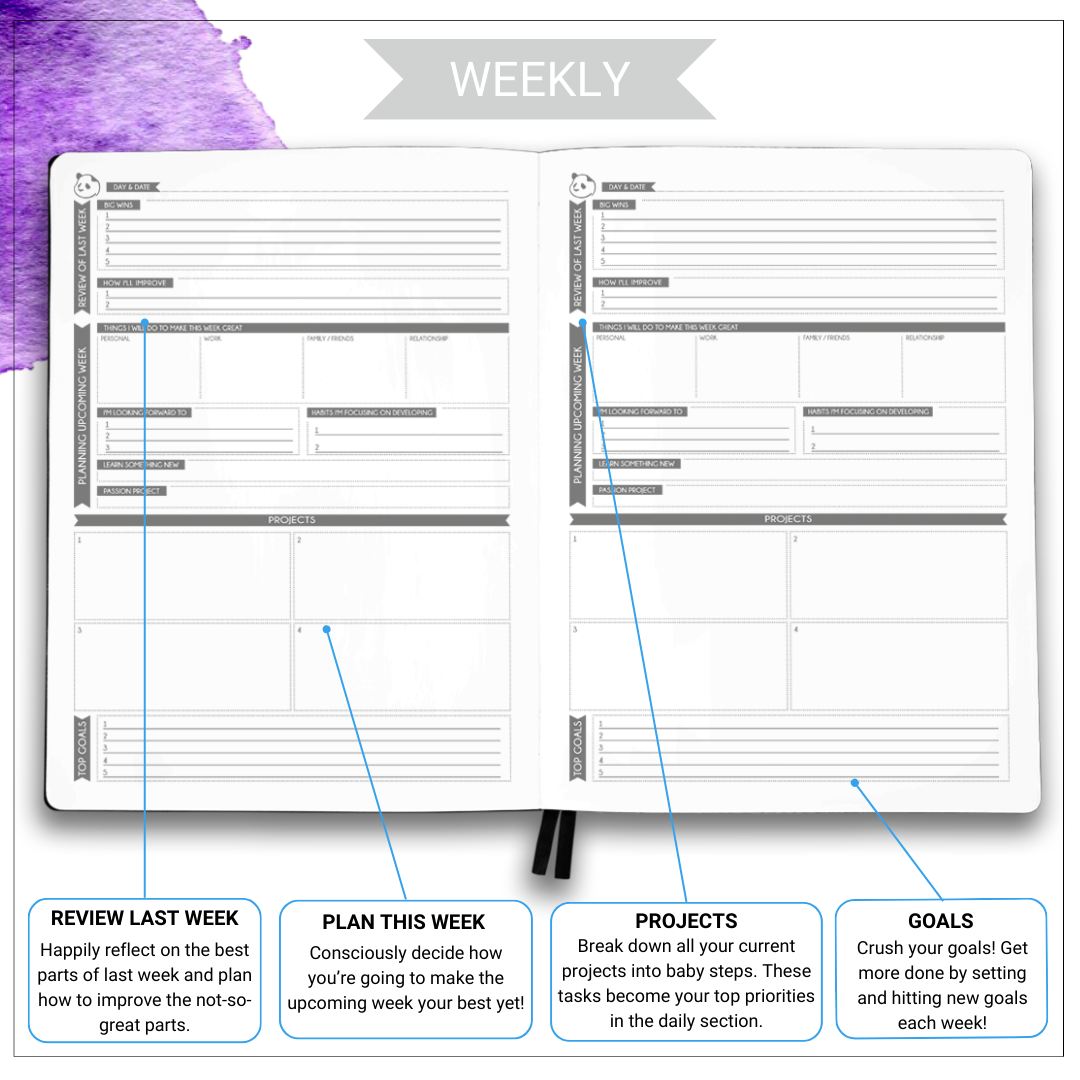Panda Planner Pro: Undated 6-Month Pro Planner for Goals, Happiness ...
