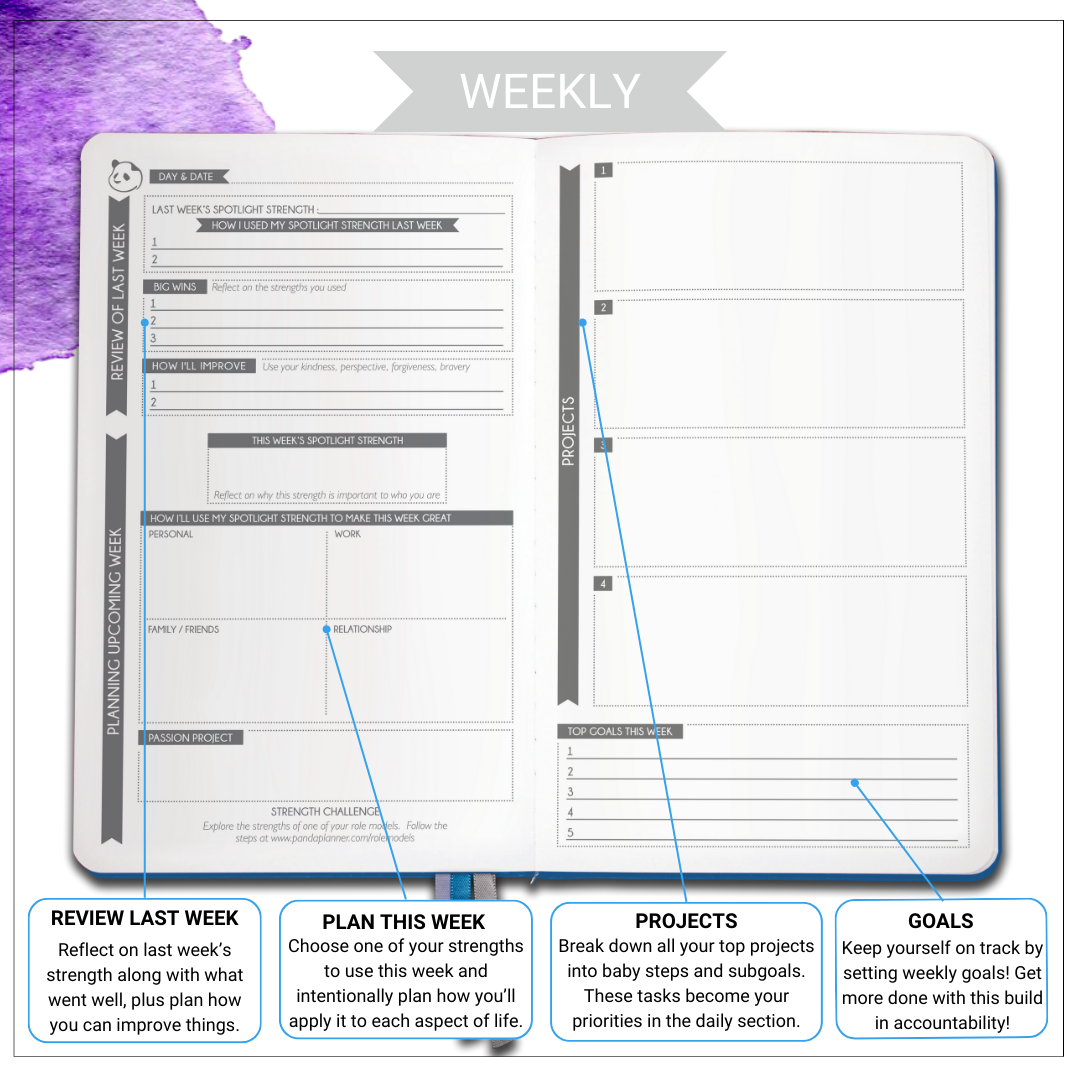 Panda Planner Via - Your Companion for Purposeful Planning