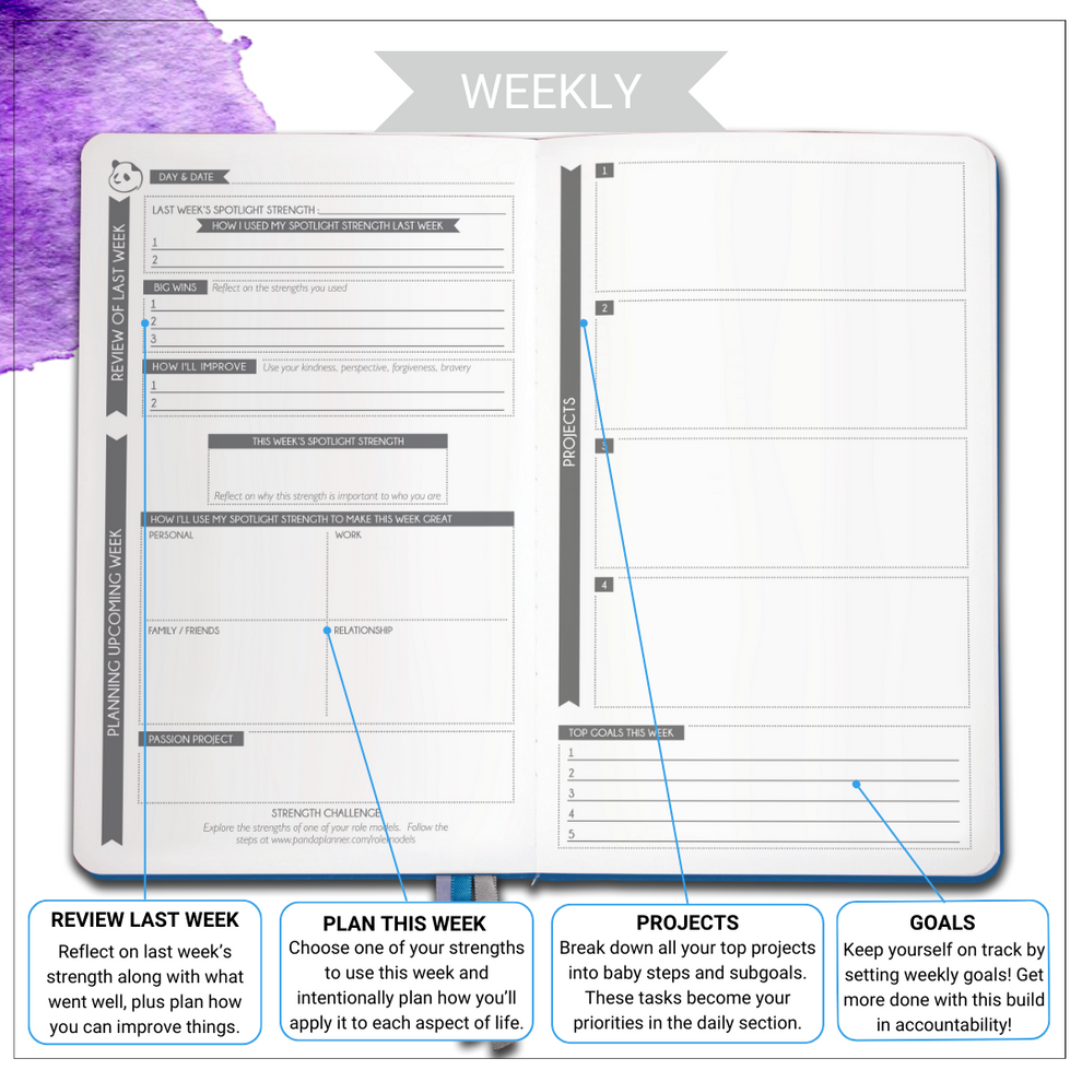 Panda Planner Via - Your Companion for Purposeful Planning